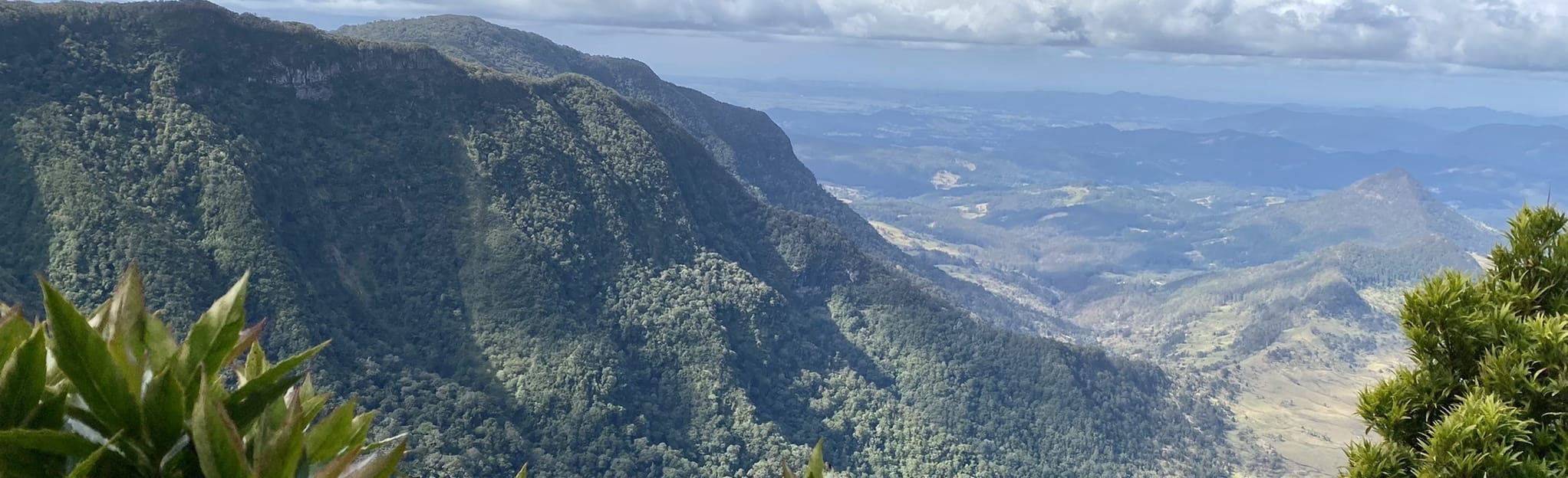 Binna Burra to O’Reillys via Coomera Circuit and Border Track: 33 ...