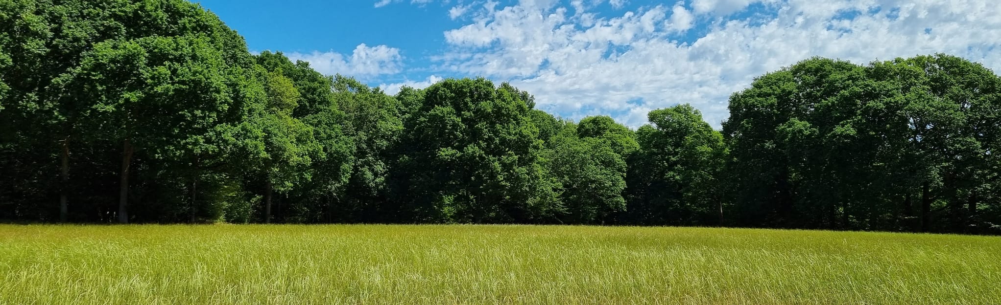 Ifield Station - Langhurst Hill - Charlwood Circular | Map, Guide ...