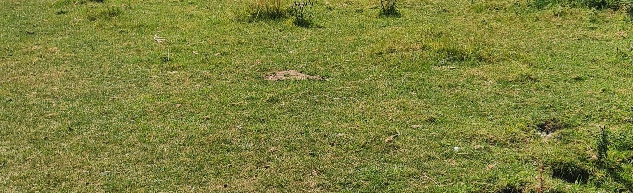 Faringdon and Radcot Bridge Circular: 3 Reviews, 50 Photos, Map ...