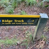 Opuke Track, Canterbury, New Zealand - 5 Reviews, Map | AllTrails