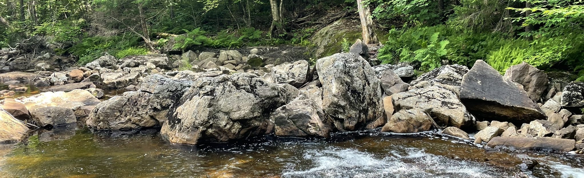 Goldmine Stream Trail, New York - 13 Reviews, Map | AllTrails