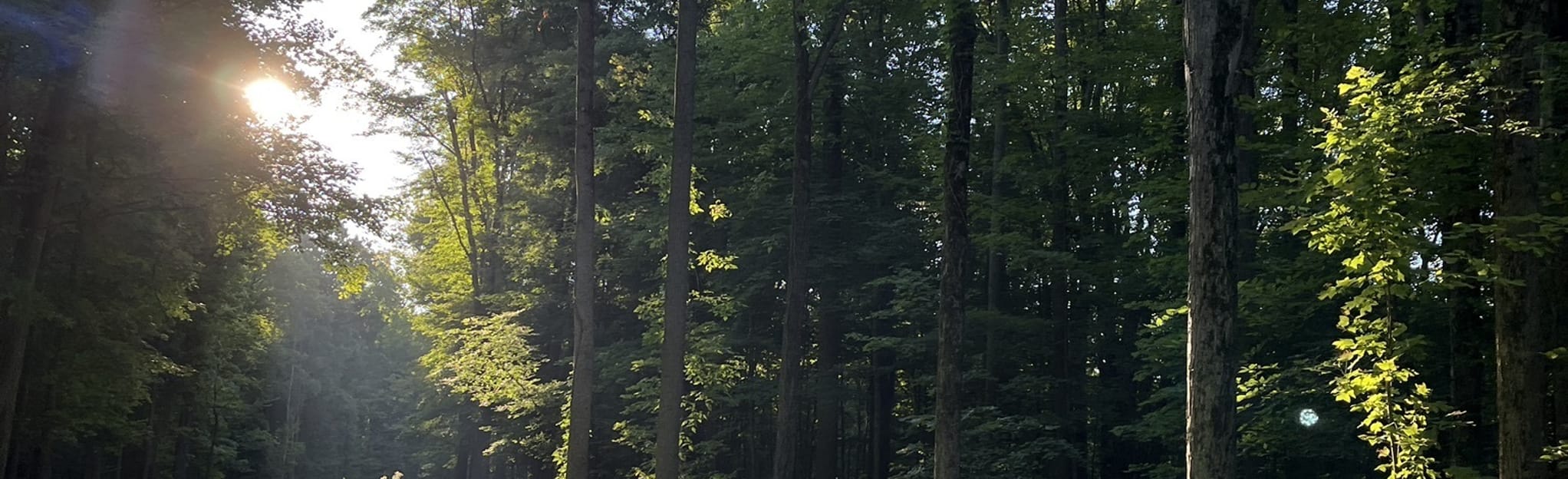 Poland Village Full Loop, Ohio - 28 Reviews, Map | AllTrails