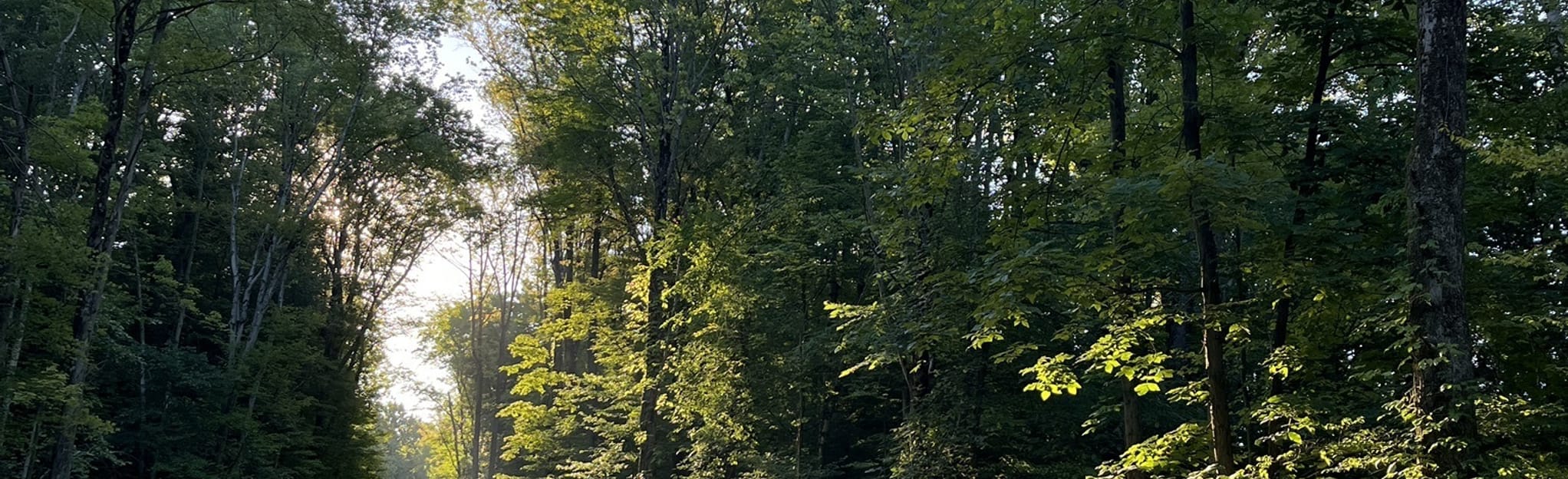Poland Village Northern Loop, Ohio - 7 Reviews, Map | AllTrails