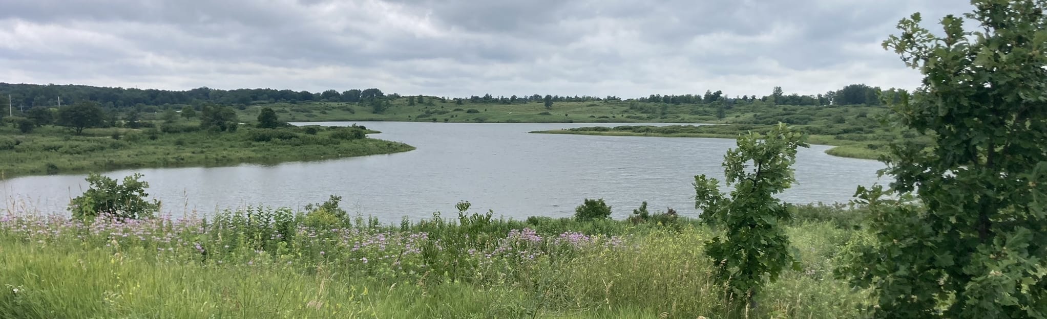 Danada-Herrick Lake Regional Trail: 272 Reviews, Map - Illinois | AllTrails