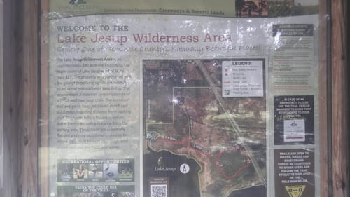 Best Hikes and Trails in Lake Jesup Wilderness Area | AllTrails