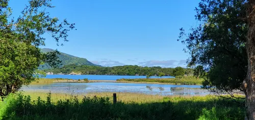 10 Best Hikes and Trails in Killarney National Park | AllTrails