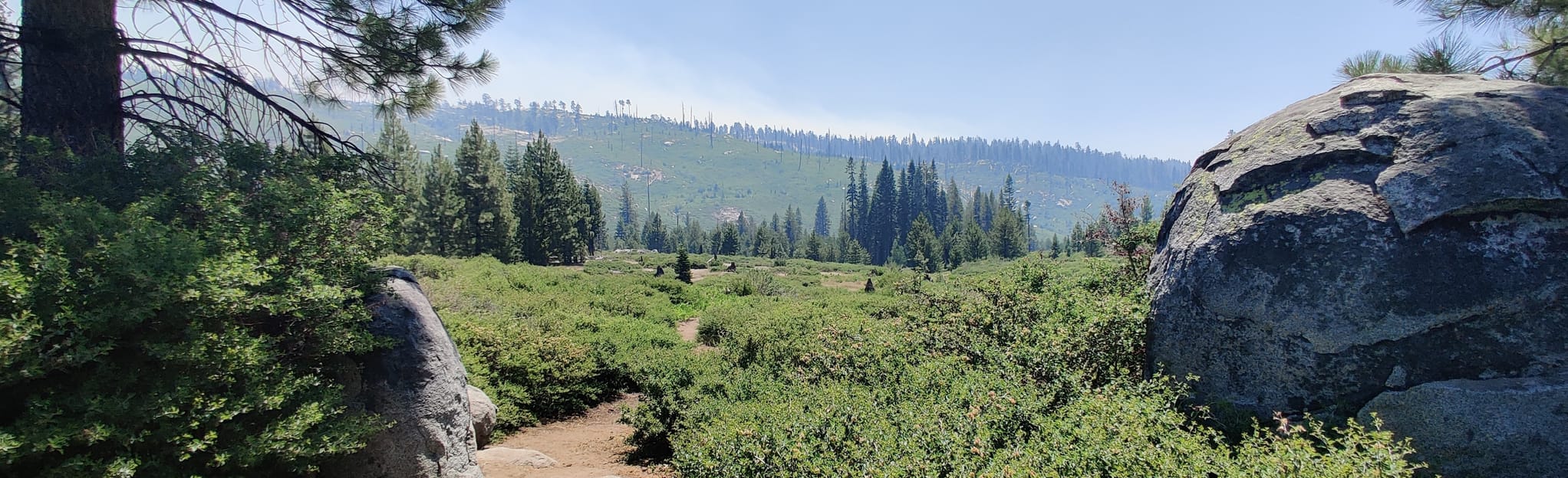 Tamarack Creek Trail: 22 fotos - Califórnia | AllTrails