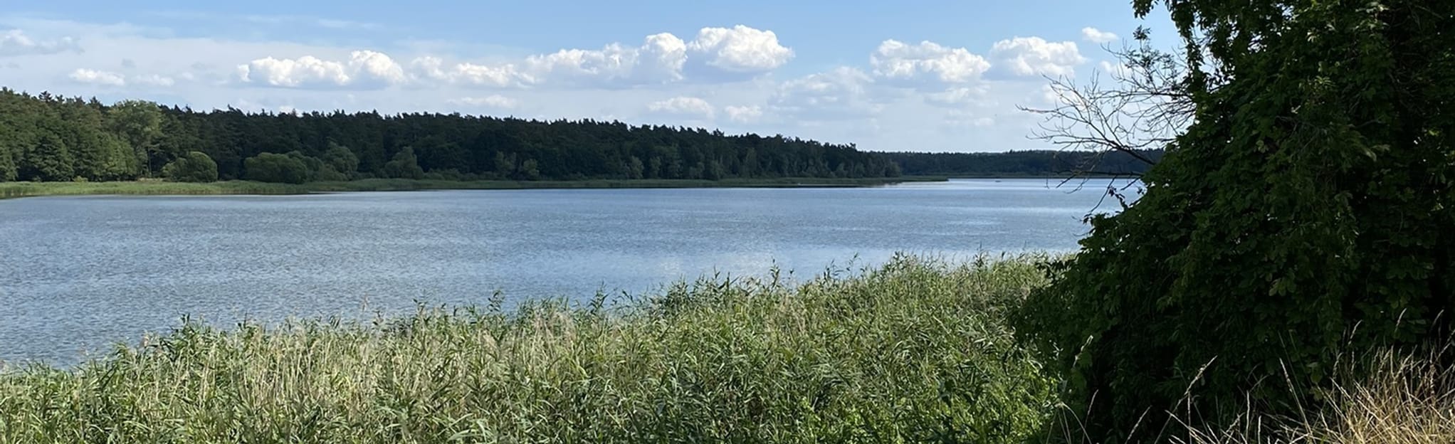 AllTrails | Around the Neuklostersee: 5 Reviews, Map - Mecklenburg ...