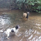 Peover Eye Circular, Cheshire, England - 91 Reviews, Map | AllTrails