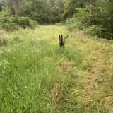 Peover Eye Circular, Cheshire, England - 91 Reviews, Map | AllTrails