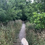 Snyder Flats Loop, Ontario, Canada - 539 Reviews, Map | AllTrails