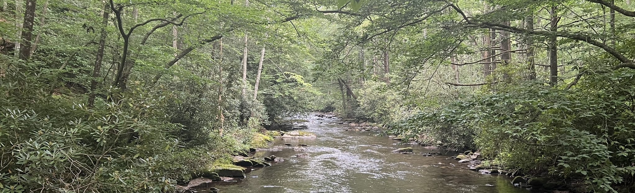 South Mills River Road: 16 Reviews, Map - North Carolina | AllTrails