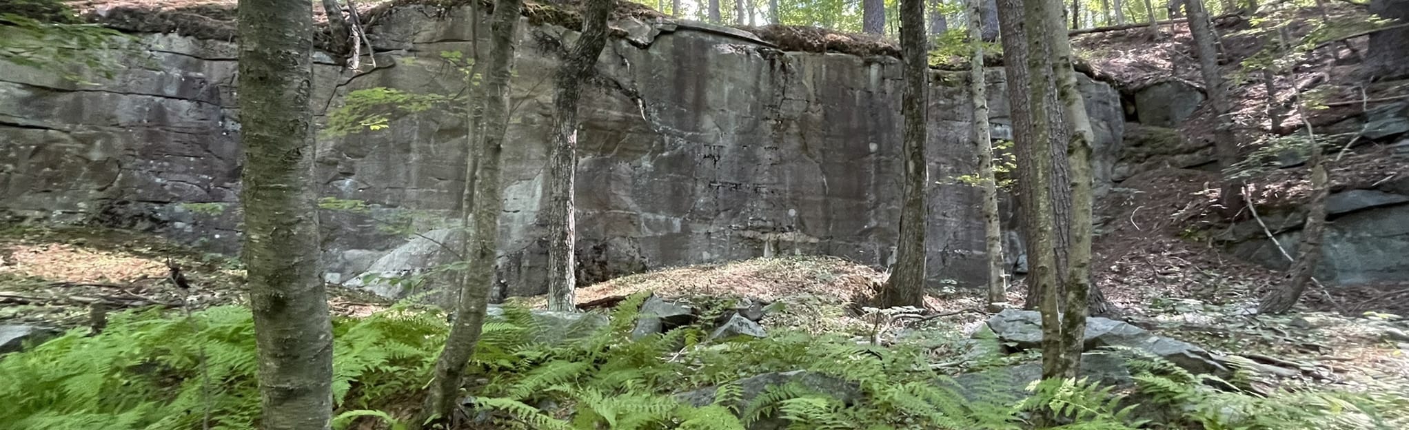Olver and Quarry Trail Loop, Massachusetts - 14 Reviews, Map | AllTrails