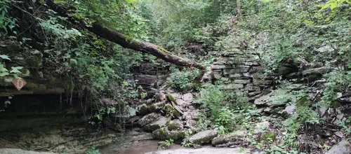 Best Hikes and Trails in Riney B Park | AllTrails