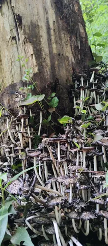 Best Hikes and Trails in Riney B Park | AllTrails