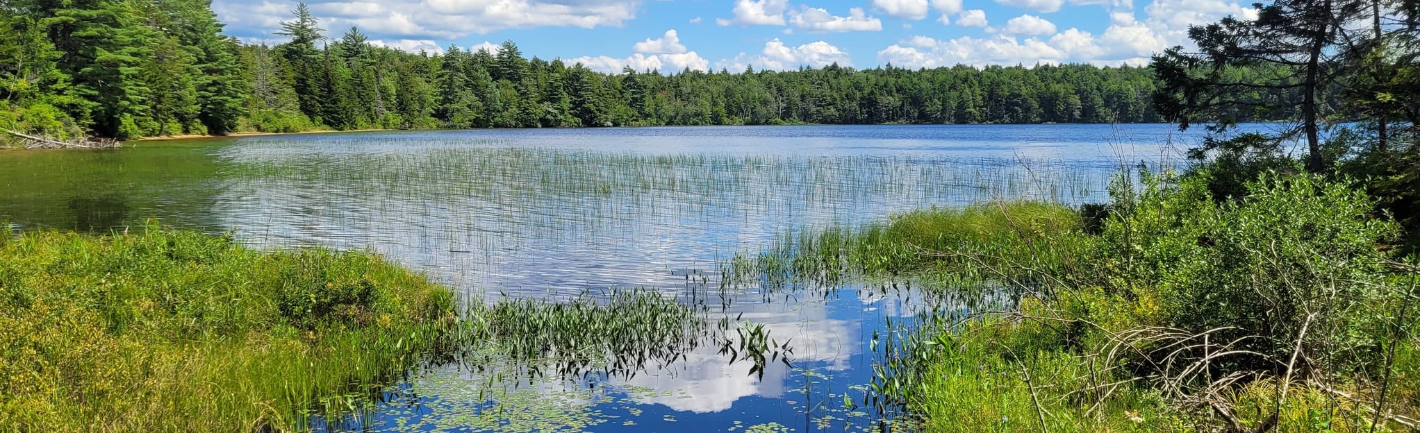 Fawn Lake Trail, New York - 235 Reviews, Map | AllTrails