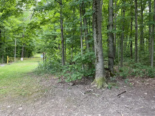 10 Best Trails and Hikes in Tully | AllTrails