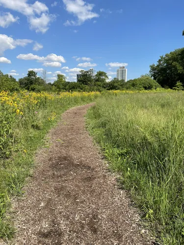 2023 Best 10 Trails and Hikes in Chicago | AllTrails