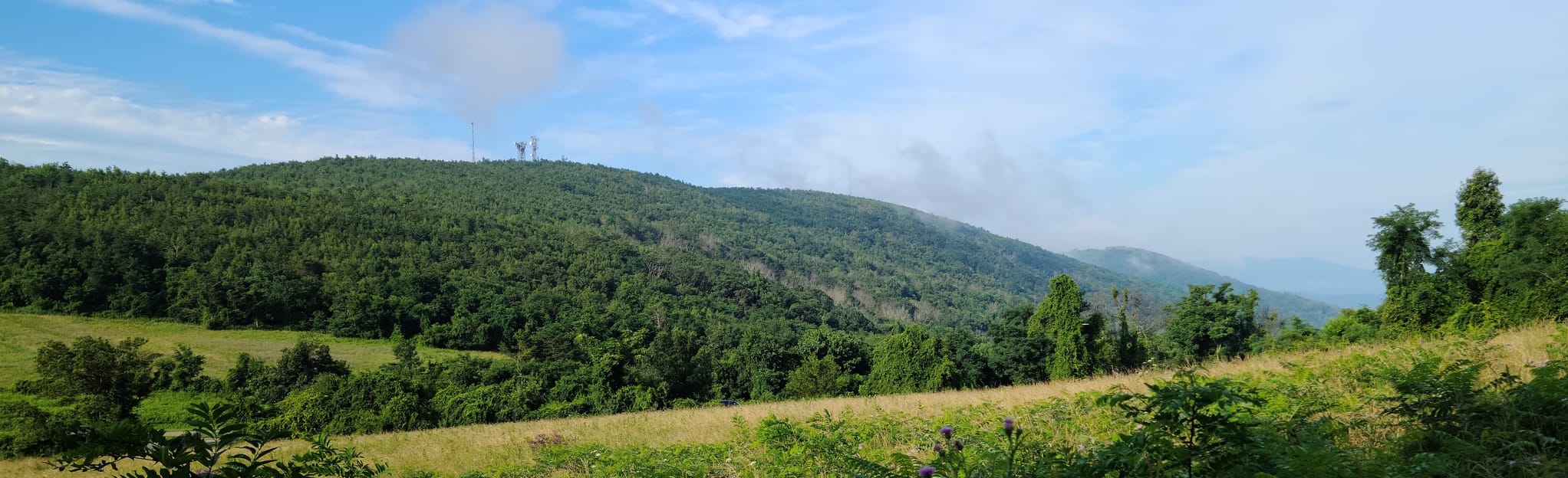 Calf Mountain via Appalachian Trail, Virginia - 496 Reviews, Map ...