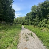 Upper Guild Trail, Tennessee - 456 Reviews, Map | AllTrails