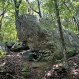 Upper Guild Trail, Tennessee - 456 Reviews, Map | AllTrails