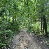 Upper Guild Trail, Tennessee - 456 Reviews, Map | AllTrails