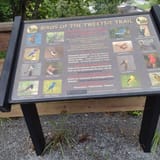 Tweetsie Trail, Tennessee - 618 Reviews, Map | AllTrails