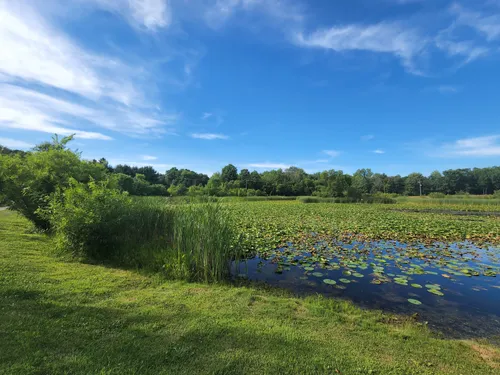 Best Hikes and Trails in Resources Center Park | AllTrails