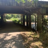 Lake Conestee Nature Trail and Swamp Rabbit Trail, South Carolina - 305 ...