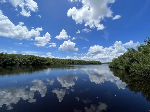 Best Hikes and Trails in Charlotte Harbor Preserve State Park | AllTrails