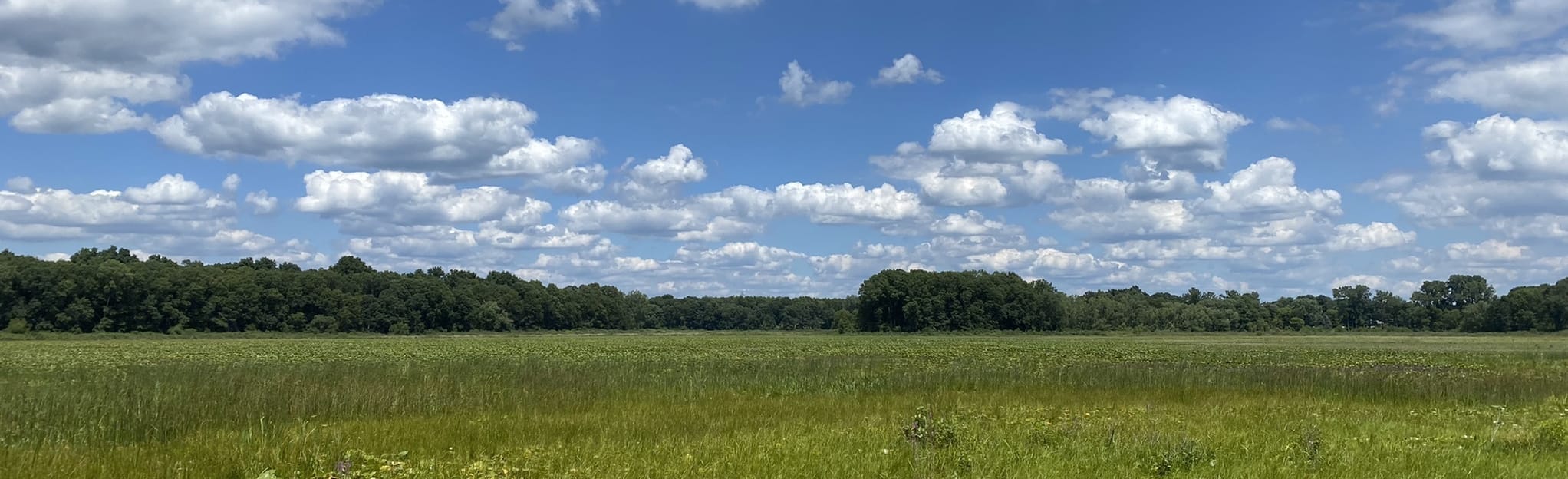 Boot Lake Trail, Indiana - 419 Reviews, Map | AllTrails