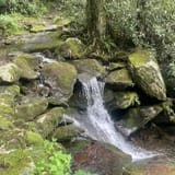 Snake Den Ridge Trail, Tennessee - 109 Reviews, Map | AllTrails