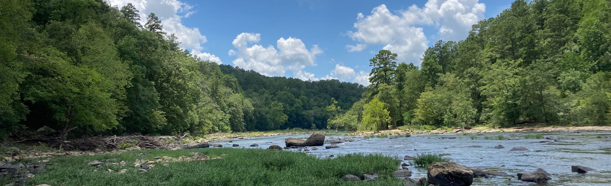 Piper Trail Loop, Alabama - 56 Reviews, Map | AllTrails