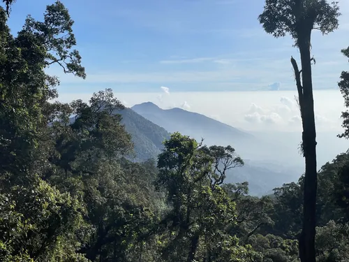 10 Best Hikes and Trails in Mount Gede Pangrango National Park | AllTrails