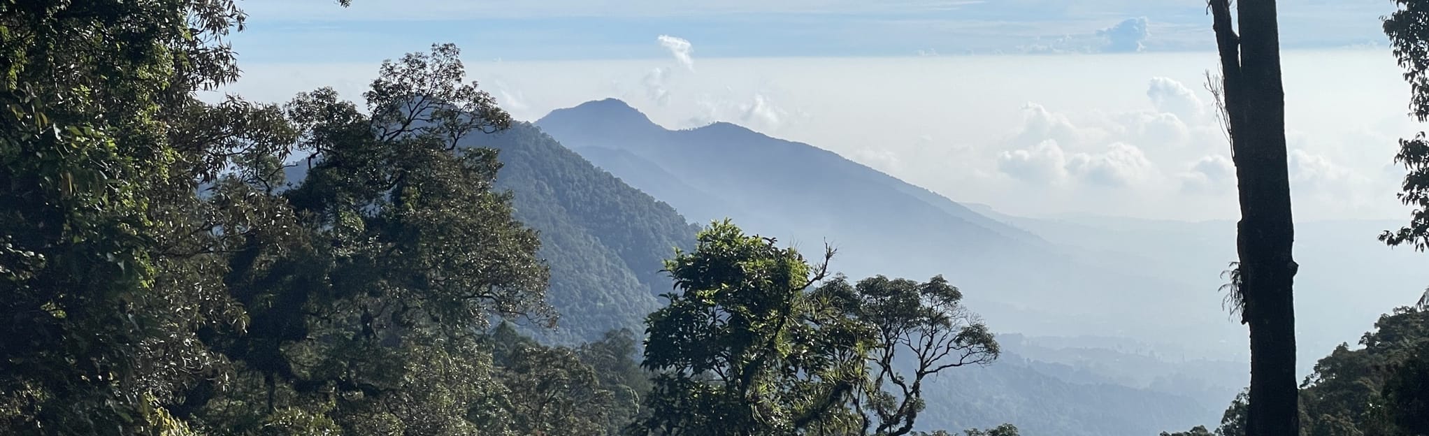 Mount Pangrango: 5 Reviews, Map - West Java, Indonesia | AllTrails