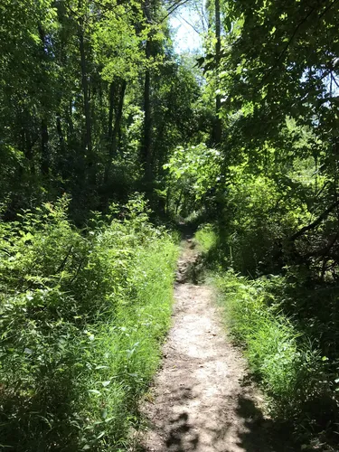 10 Best Trails and Hikes in Webster | AllTrails