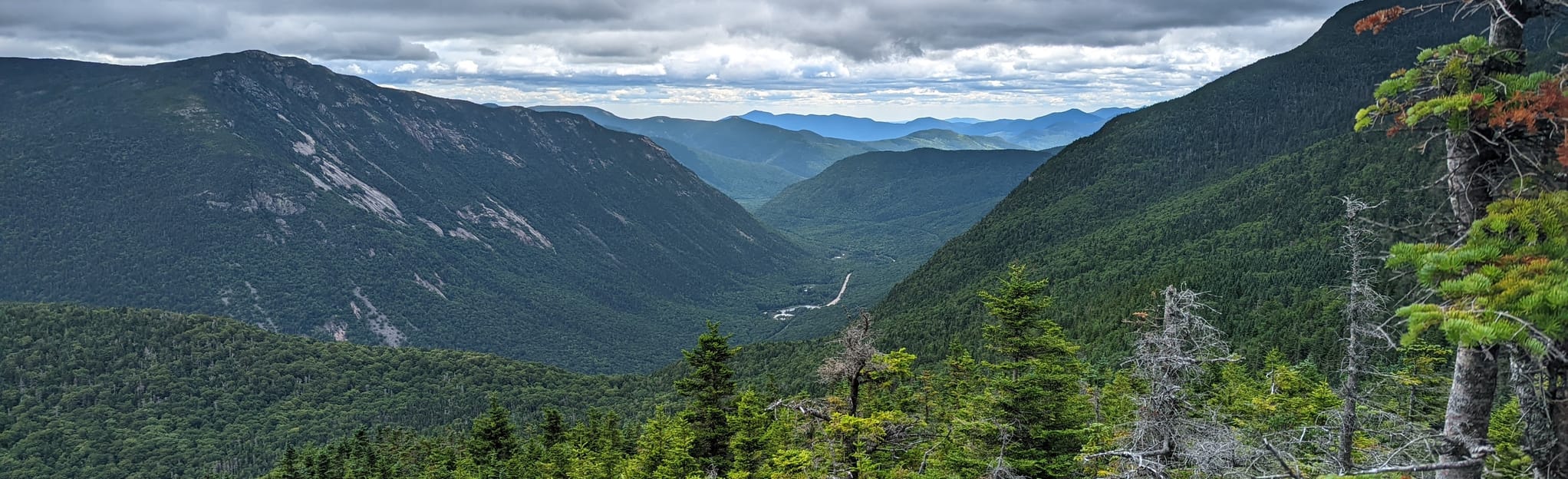 Mount Avalon, New Hampshire - 778 Reviews, Map | AllTrails