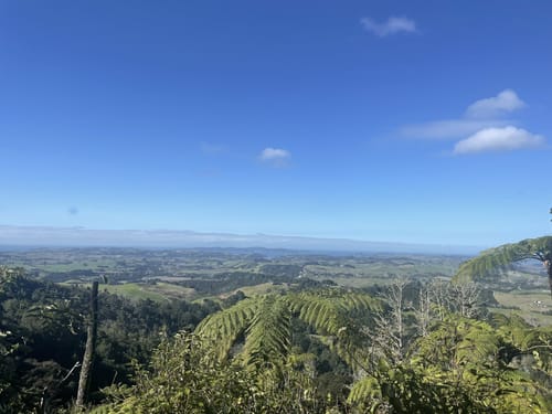 Best Hikes and Trails in Dome Forest Conservation Area | AllTrails