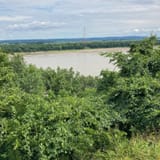 Bee Tree Lake Loop, Missouri - 515 Reviews, Map | AllTrails