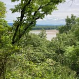 Bee Tree Lake Loop, Missouri - 515 Reviews, Map | AllTrails