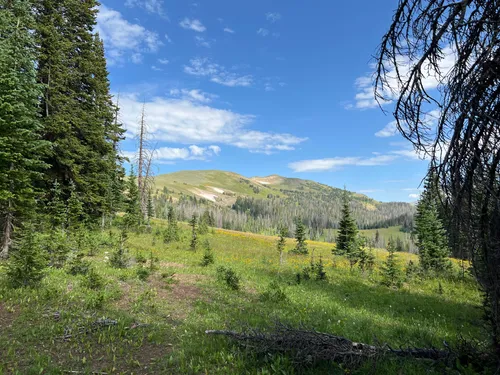 10 Best Views Trails in Rand | AllTrails