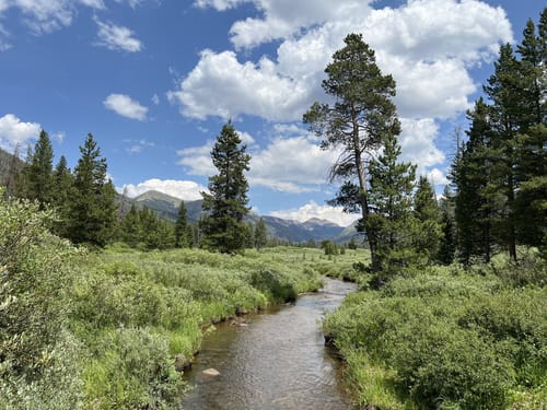 Best 10 Hikes and Trails in State Forest State Park | AllTrails