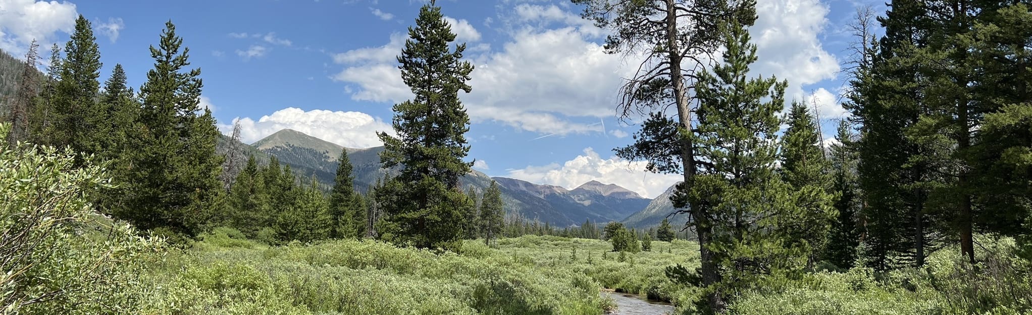 Gould Loop Trail, Colorado - 114 Reviews, Map | AllTrails