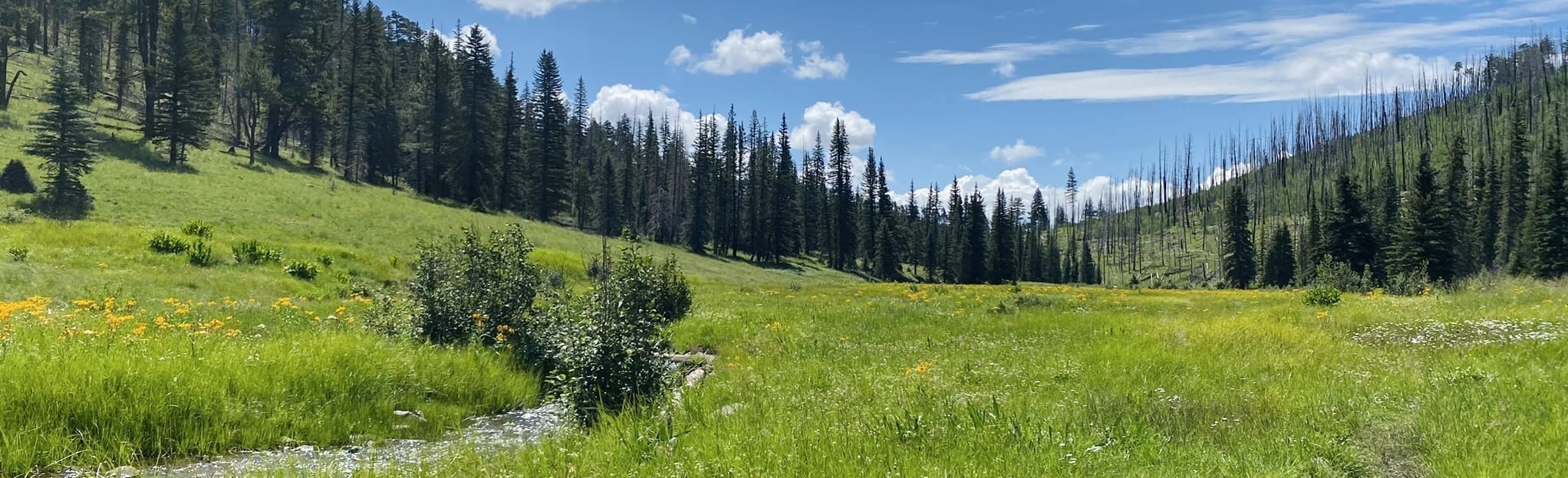 Thompson Trail #629: 530 Reviews, Map - Arizona | AllTrails