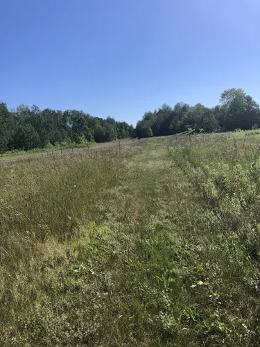 Best Trail Running Trails in Wild River State Park | AllTrails