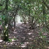 Jacks Knob Trail, Georgia - 165 Reviews, Map | AllTrails