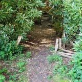 Jacks Knob Trail, Georgia - 165 Reviews, Map | AllTrails