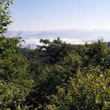 Jacks Knob Trail, Georgia - 165 Reviews, Map | AllTrails