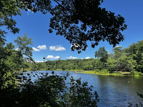 Best Hikes and Trails in Blackledge Falls Town Park | AllTrails