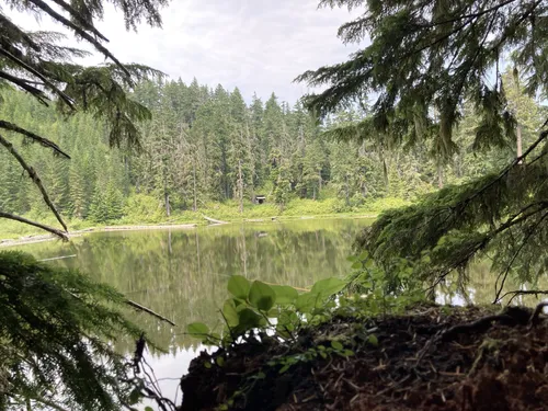 2023 Best Easy Trails in Dorena | AllTrails